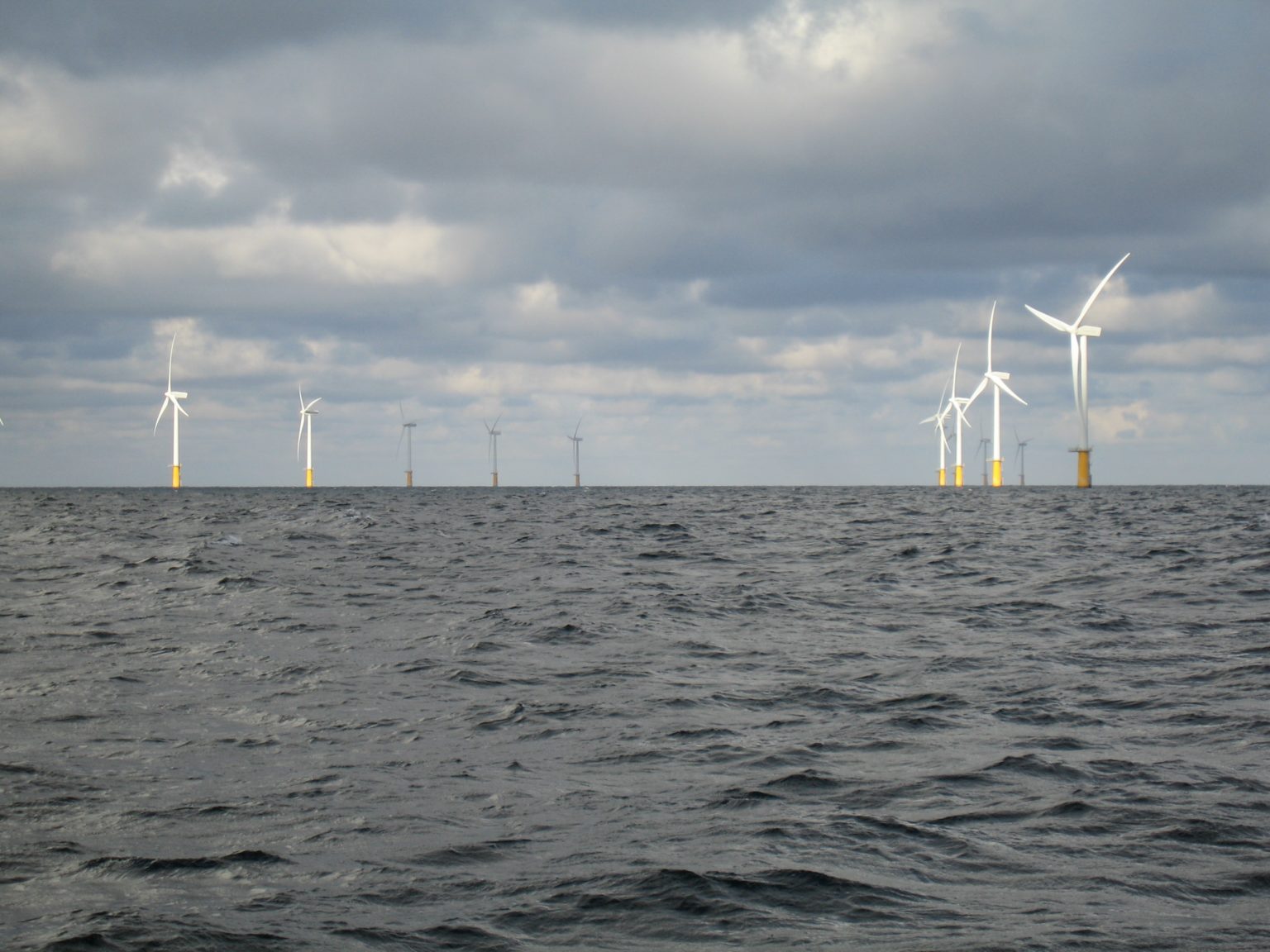 Effecten van windparken op zee - Vistikhetmaar