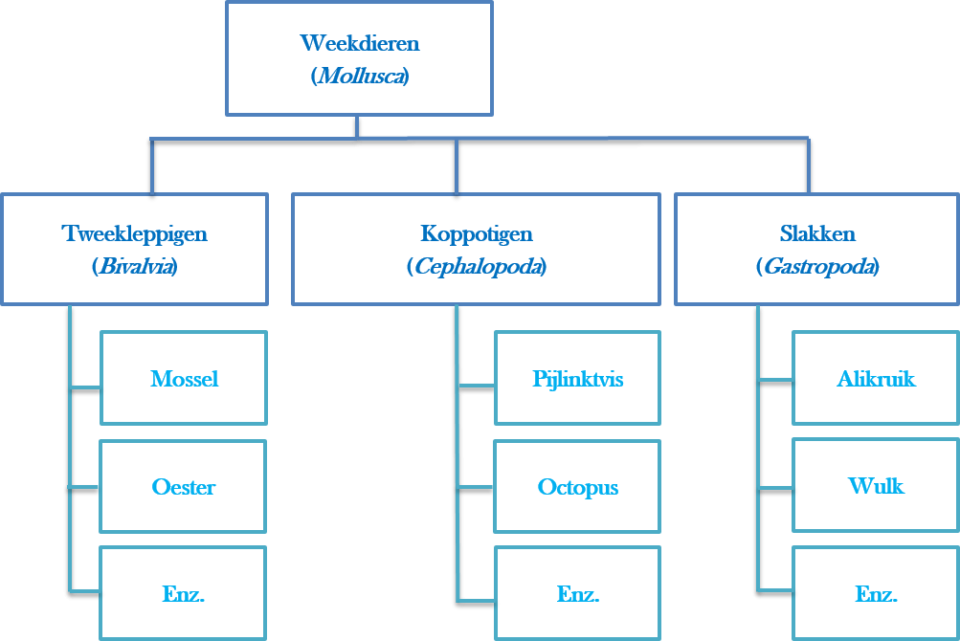 Weekdieren - Vistikhetmaar