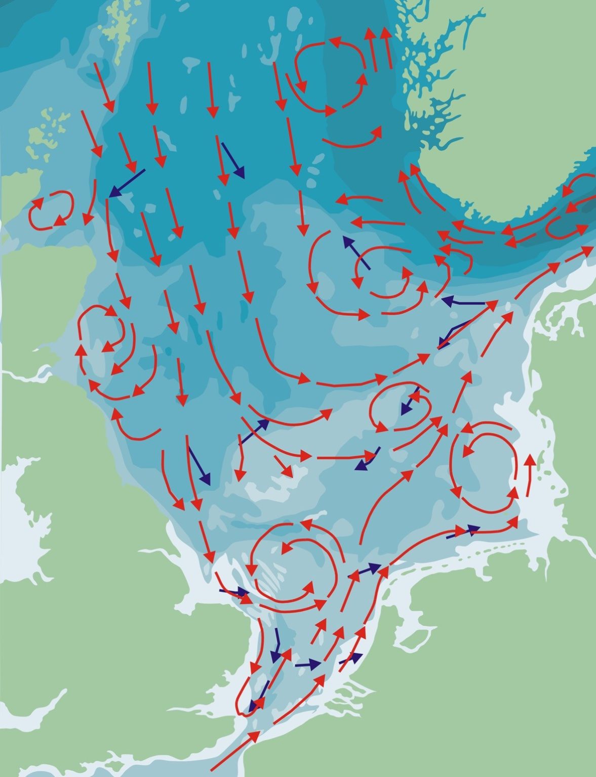 Oceaan ecologie: Mariene ecologie - Vistikhetmaar