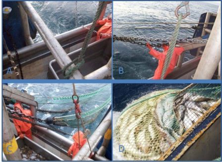 Visserij met borden - Vistikhetmaar