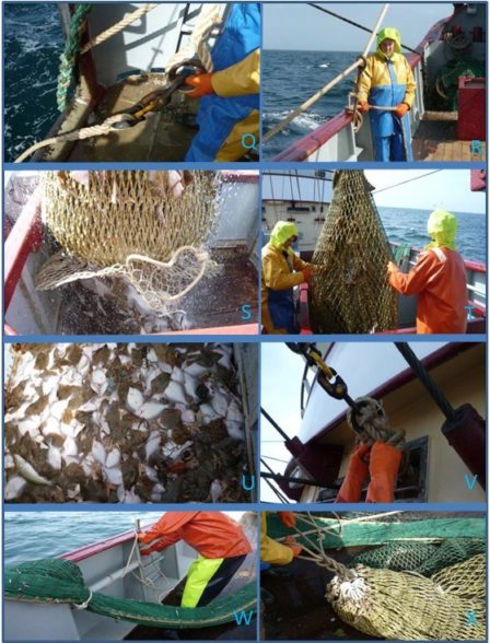 Visserij met borden - Vistikhetmaar