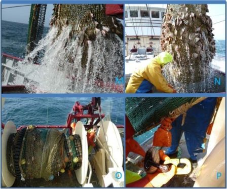 Visserij met borden - Vistikhetmaar