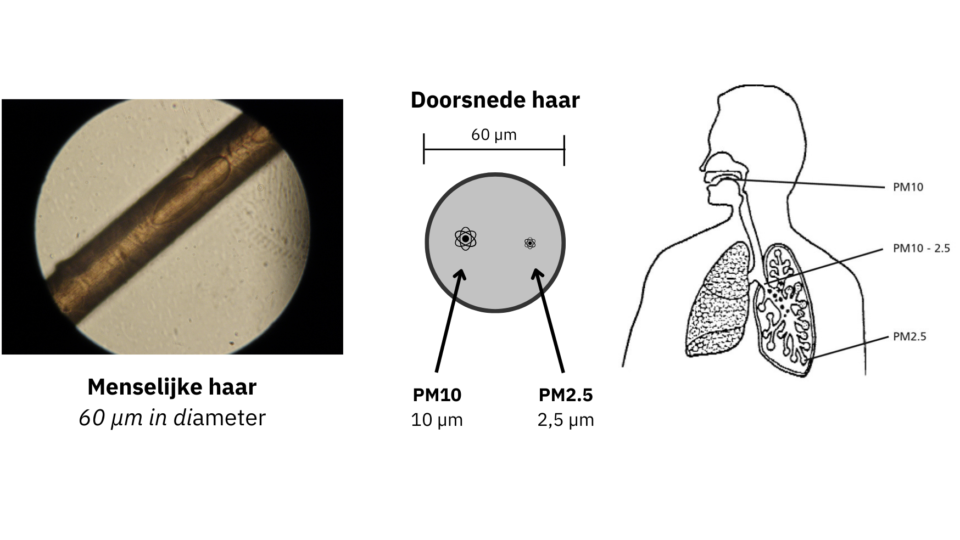 Wat is stikstof? - Vistikhetmaar